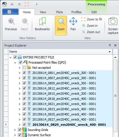 5. Qinsy Survey Manager