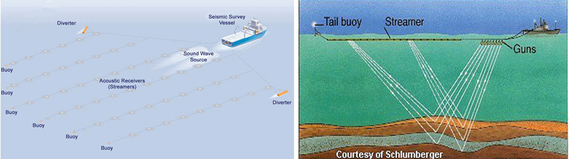 2D and 3D Towed Streamer Seismic Surveys